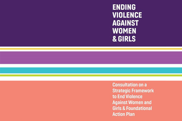 Ending Violence against Women and Girls Strategic Framework and Action ...